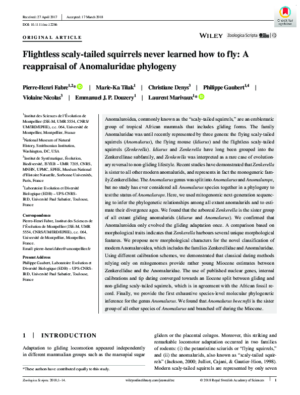 (PDF) Flightless scaly-tailed squirrels never learned how to fly: A ...