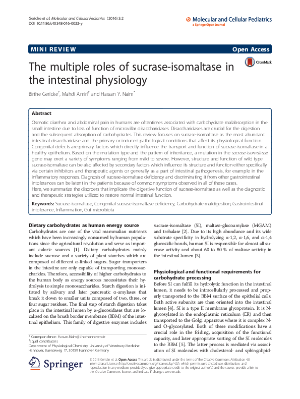 (PDF) The multiple roles of sucrase-isomaltase in the intestinal physiology