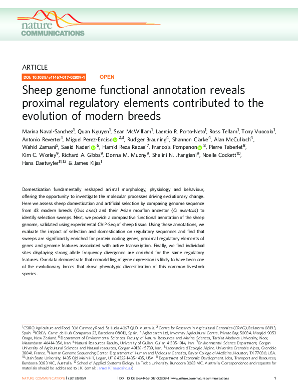 (PDF) Sheep genome functional annotation reveals proximal regulatory ...