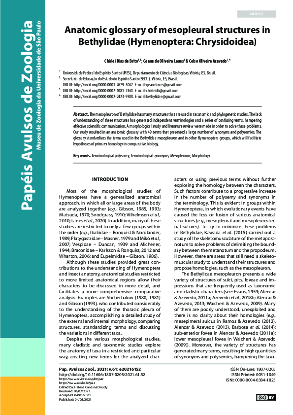 (PDF) Anatomic glossary of mesopleural structures in Bethylidae ...