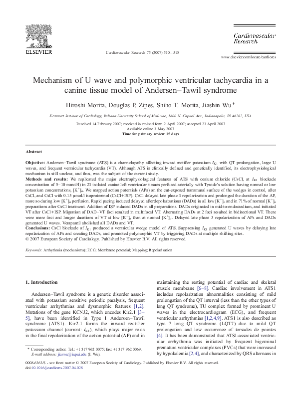 (PDF) Mechanism of U wave and polymorphic ventricular tachycardia in a ...