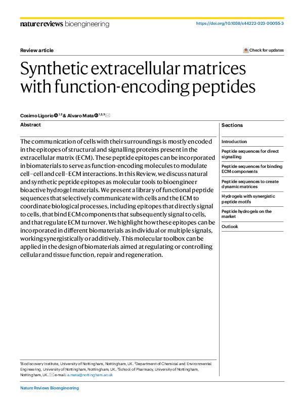 (PDF) Synthetic extracellular matrices with function-encoding peptides
