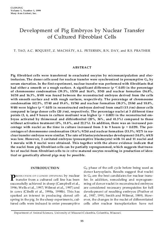 (PDF) Development of Pig Embryos by Nuclear Transfer of Cultured ...