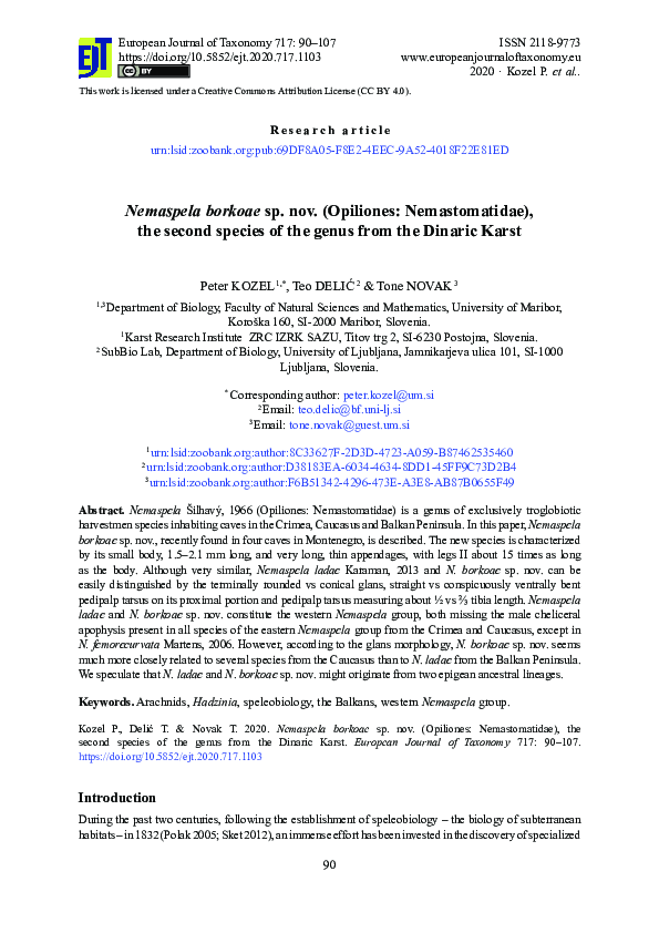 (PDF) Nemaspela borkoae sp. nov. (Opiliones: Nemastomatidae), the ...