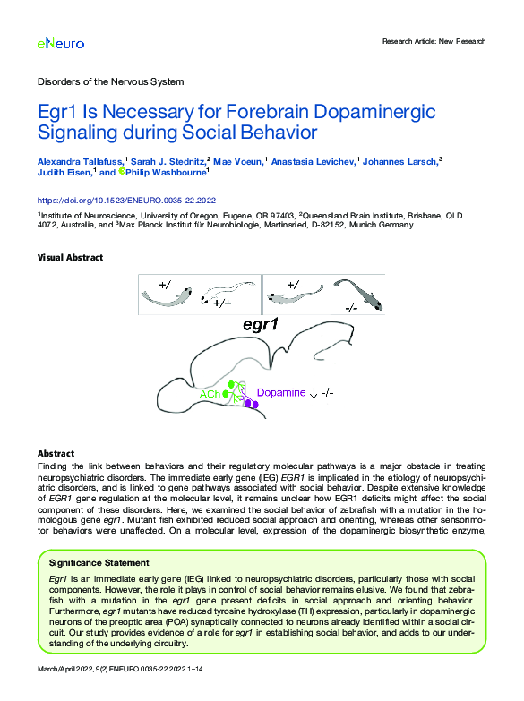 (PDF) Egr1 Is Necessary for Forebrain Dopaminergic Signaling during ...