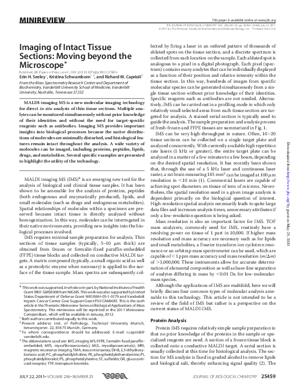 (PDF) Imaging of Intact Tissue Sections: Moving beyond the Microscope