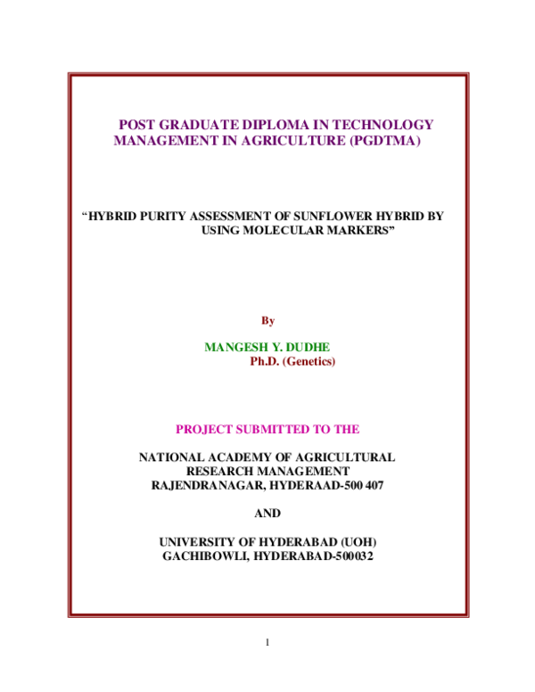 HYBRID PURITY ASSESSMENT OF SUNFLOWER HYBRID BY USING MOLECULAR MARKERS