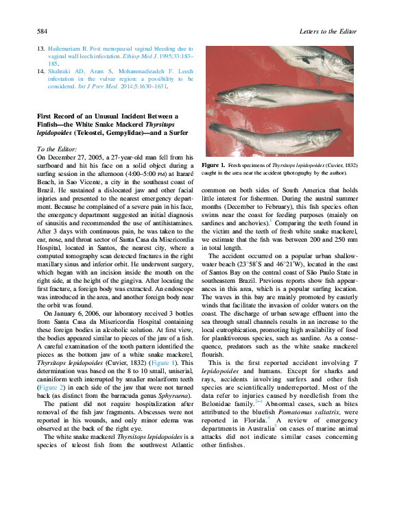 (PDF) First Record of an Unusual Incident Between a Finfish—the White ...