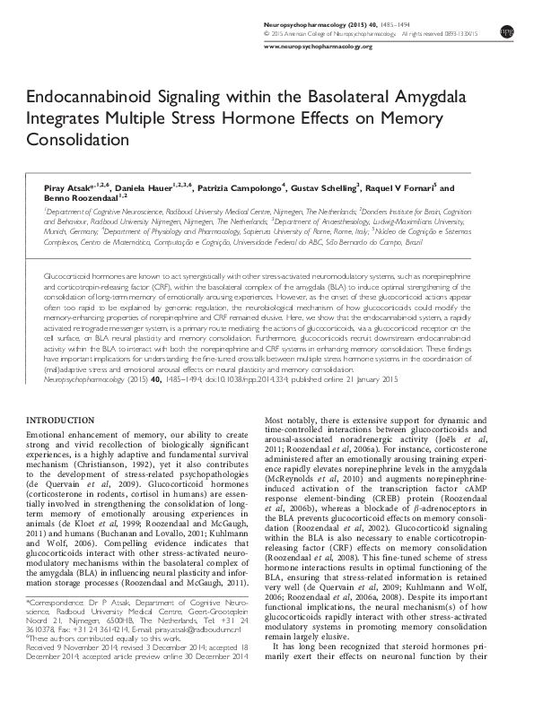 (PDF) Endocannabinoid Signaling within the Basolateral Amygdala ...