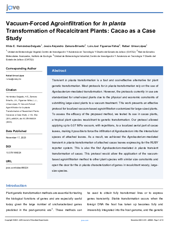(PDF) Vacuum-Forced Agroinfiltration for In planta Transformation of ...