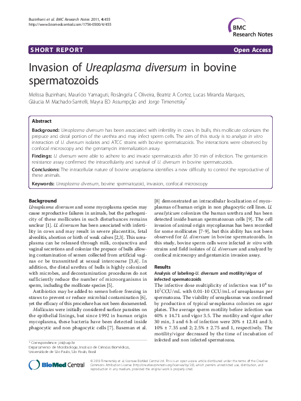 (PDF) Invasion of Ureaplasma diversum in bovine spermatozoids