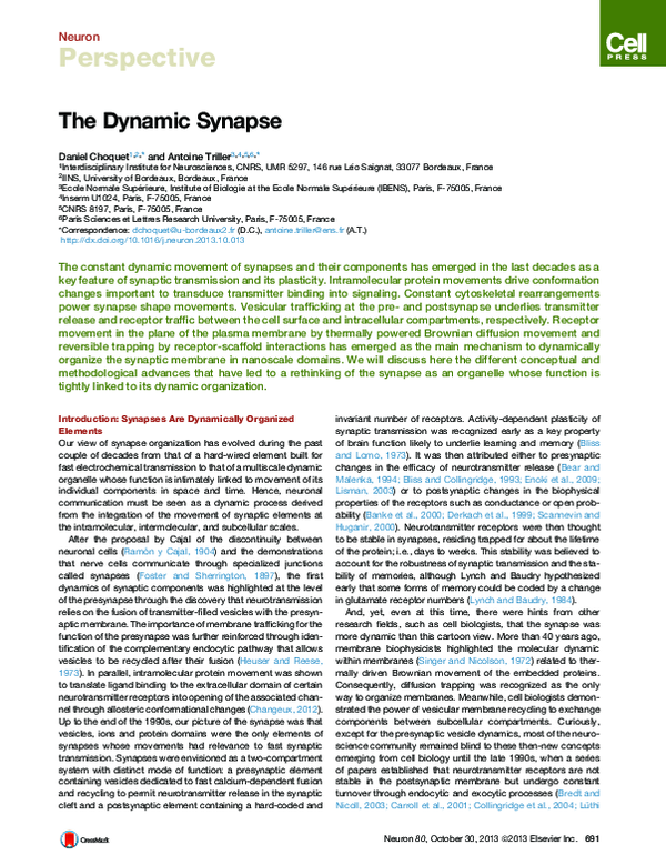 (PDF) The Dynamic Synapse
