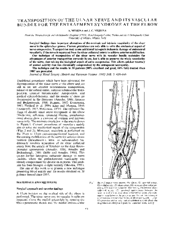 (PDF) Transposition of the Ulnar Nerve and Its Vascular Bundle for the ...