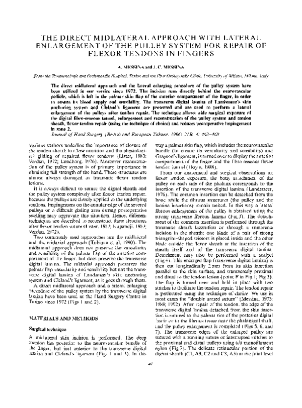 (PDF) The Direct Midlateral Approach with Lateral Enlargement of the ...