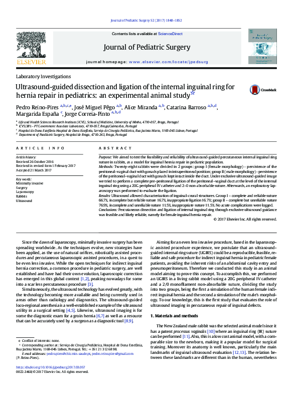 (PDF) Ultrasound-guided dissection and ligation of the internal ...
