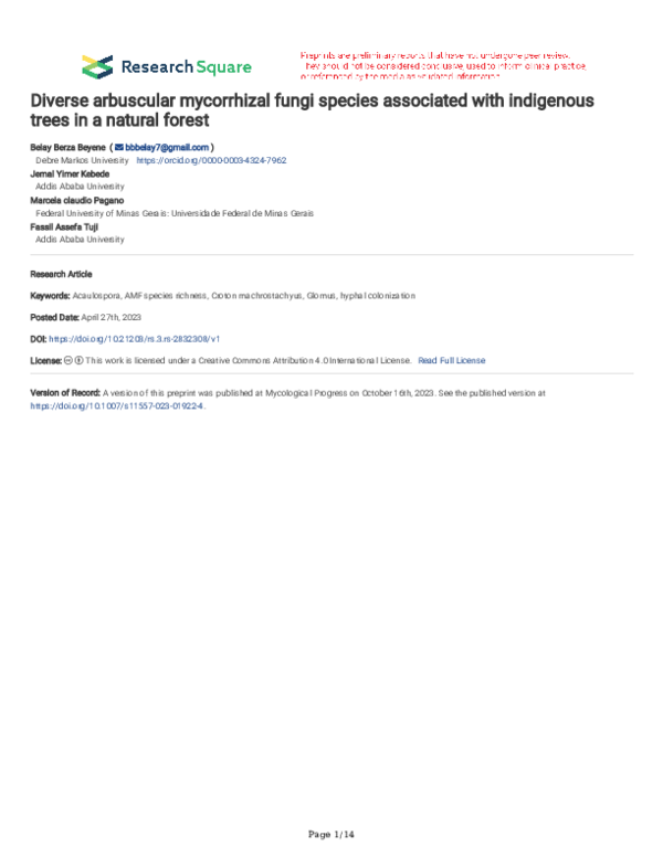 (PDF) Diverse arbuscular mycorrhizal fungi species associated with ...