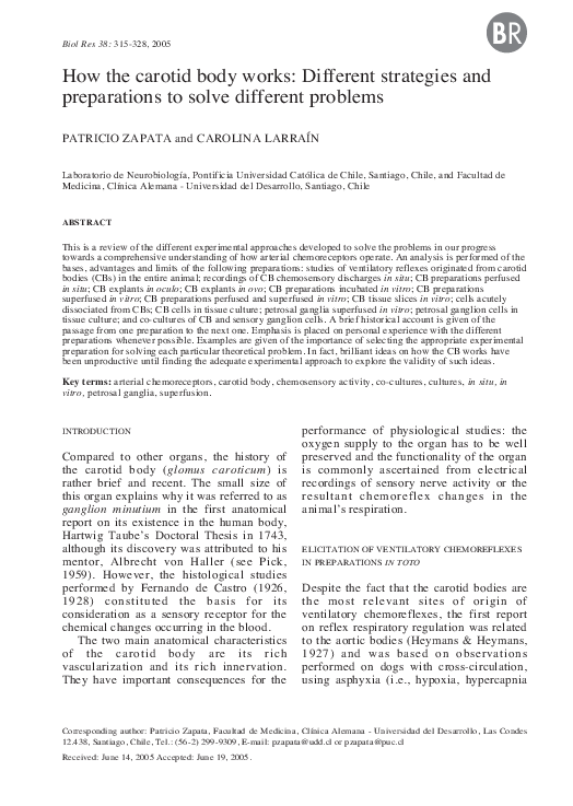 (PDF) How the carotid body works: Different strategies and preparations ...