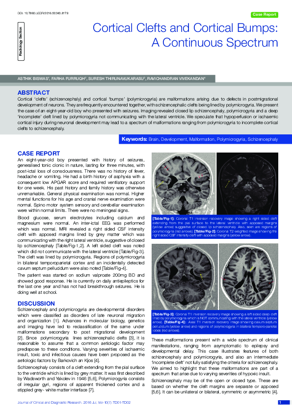 (PDF) Cortical Clefts and Cortical Bumps: A Continuous Spectrum