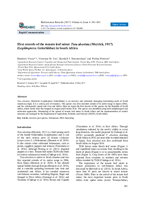 (PDF) First records of the tomato leaf miner Tuta absoluta (Meyrick, 1917) (Lepidoptera ...