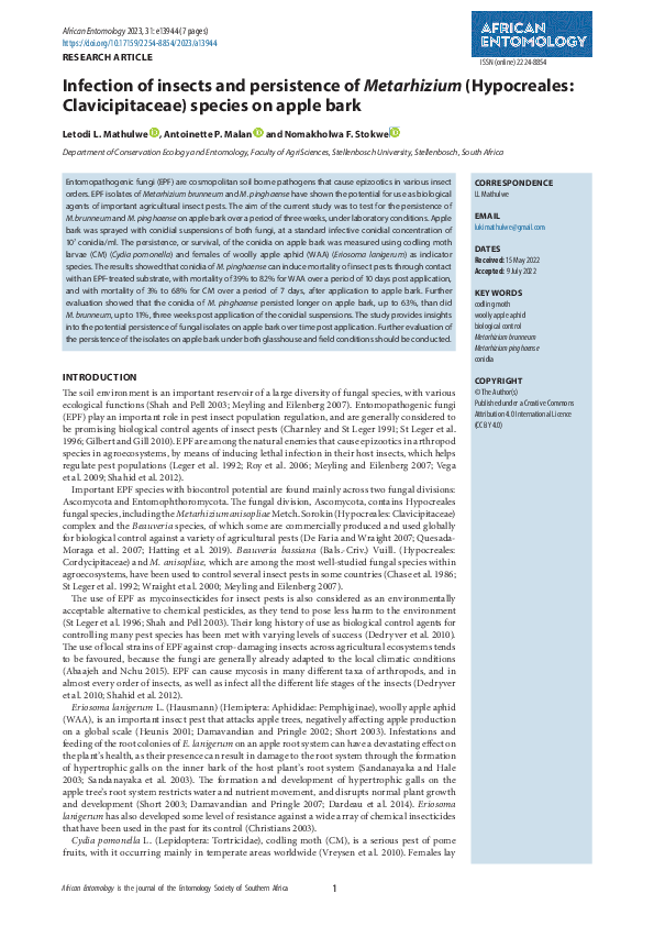 (PDF) Infection of insects and persistence of Metarhizium (Hypocreales ...