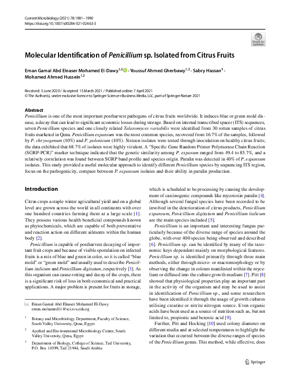 (PDF) Molecular Identification of Penicillium sp. Isolated from Citrus ...