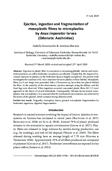 (PDF) Ejection, ingestion and fragmentation of mesoplastic fibres to ...