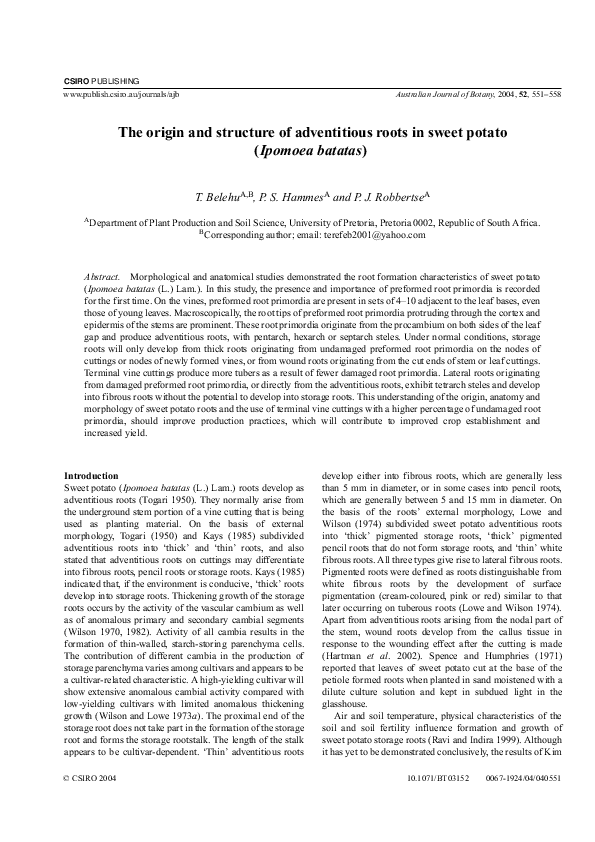 (PDF) The origin and structure of adventitious roots in sweet potato ...