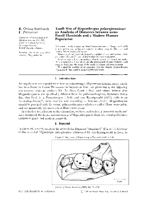 (PDF) Tooth size of Meganthropus palaeojavanicus: an analysis of ...
