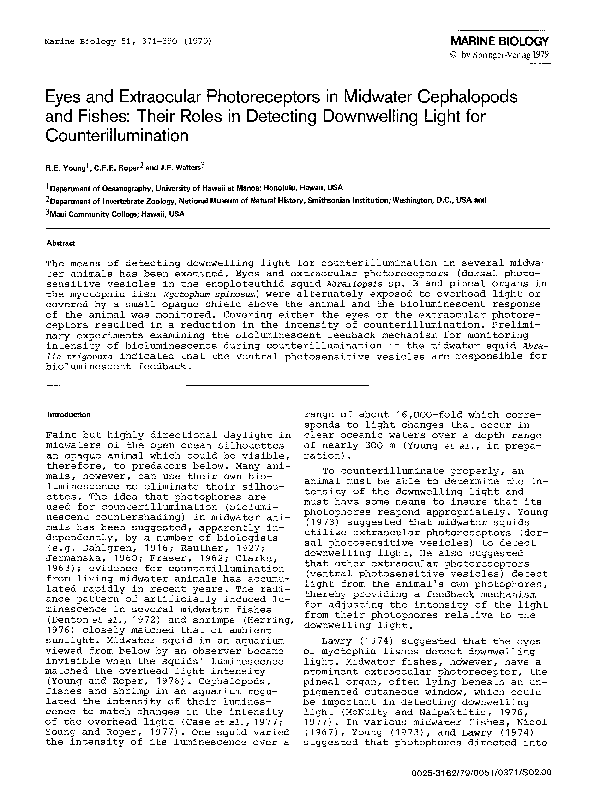 (PDF) Eyes and extraocular photoreceptors in midwater cephalopods and ...