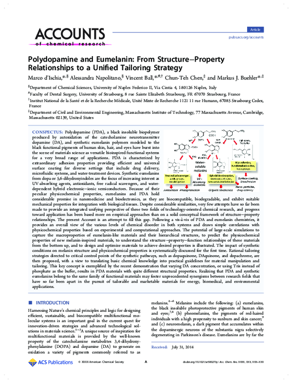 (PDF) Polydopamine and eumelanin: from structure-property relationships ...