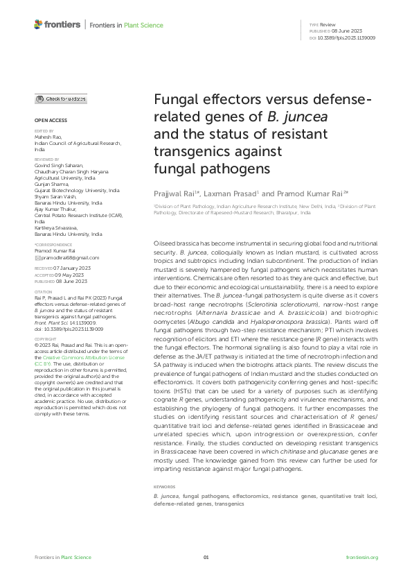 (PDF) Fungal effectors versus defense-related genes of B. juncea and ...