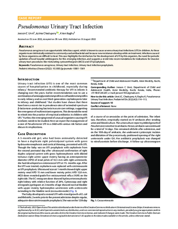 (PDF) Pseudomonas Urinary Tract Infection