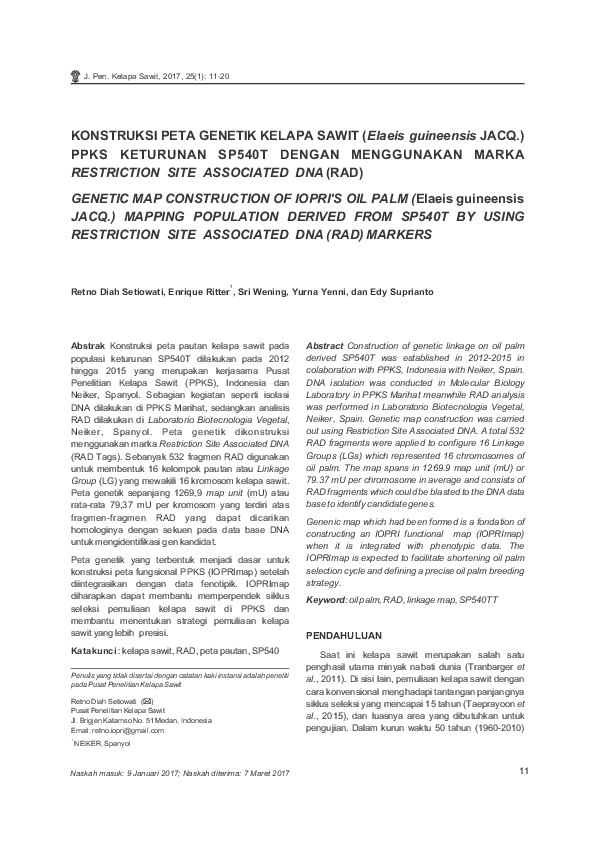 (PDF) GENETIC MAP CONSTRUCTION OF IOPRI'S OIL PALM (Elaeis guineensis ...