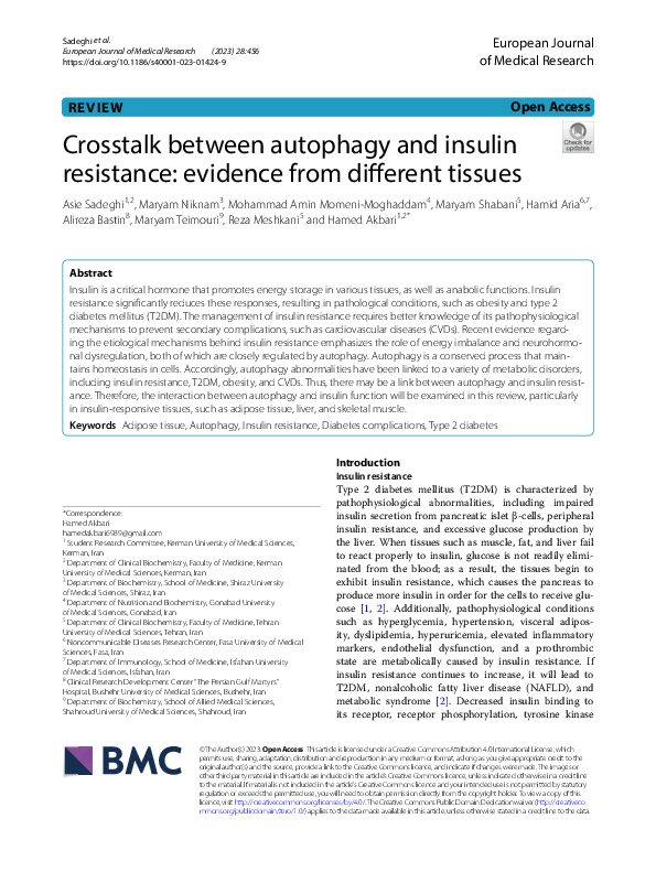 (PDF) Crosstalk between autophagy and insulin resistance: evidence from different tissues