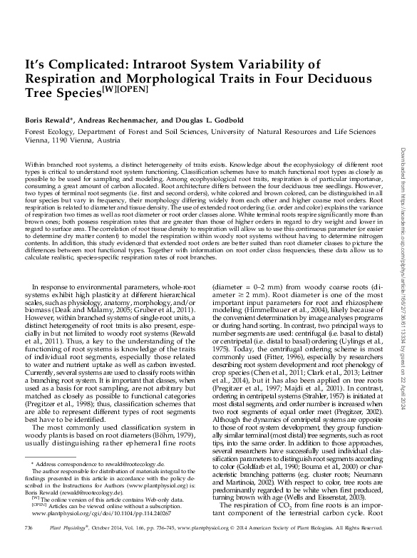 (PDF) It's complicated - Intra-root system variability of respiration and morphological traits ...