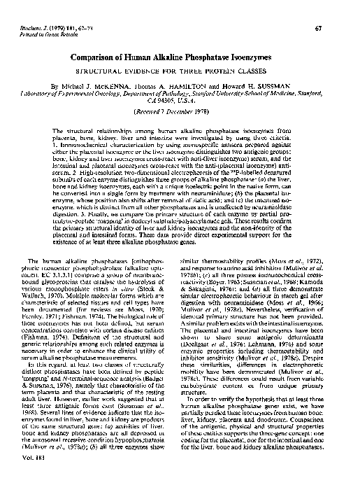 (PDF) Comparison of human alkaline phosphatase isoenzymes. Structural ...