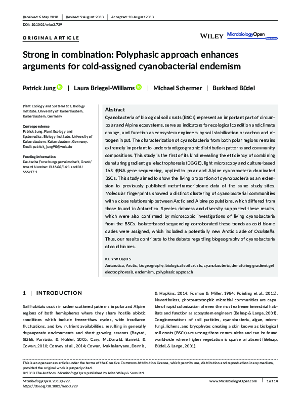 (PDF) Strong in combination: Polyphasic approach enhances arguments for ...
