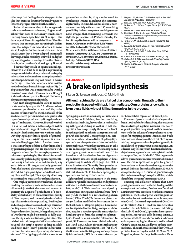 (PDF) A brake on lipid synthesis