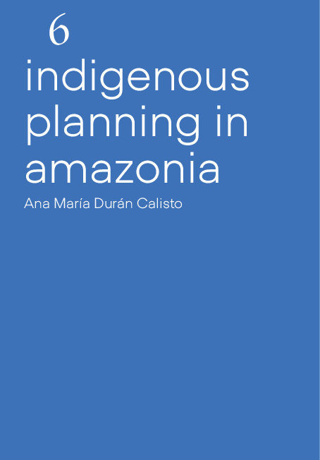 (PDF) 6 Indigenous Planning in Amazonia