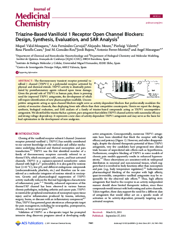 (PDF) Triazine-Based Vanilloid 1 Receptor Open Channel Blockers: Design ...