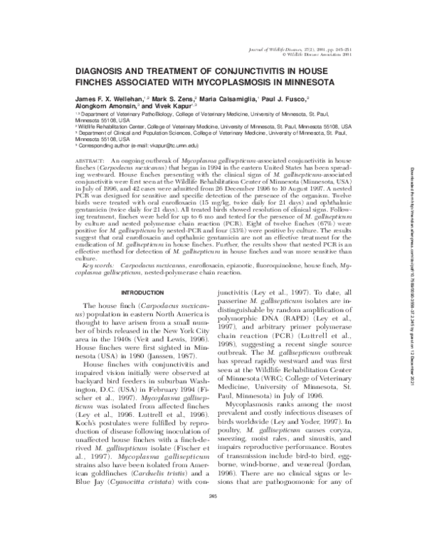 (PDF) Diagnosis and Treatment of Conjunctivitis in House Finches ...