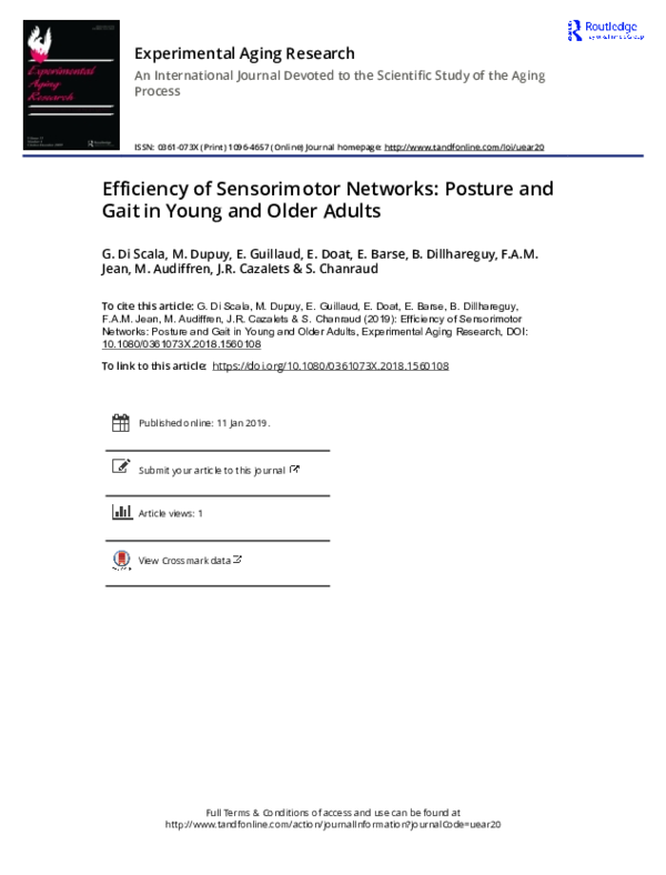 (PDF) Efficiency of Sensorimotor Networks: Posture and Gait in Young and Older Adults