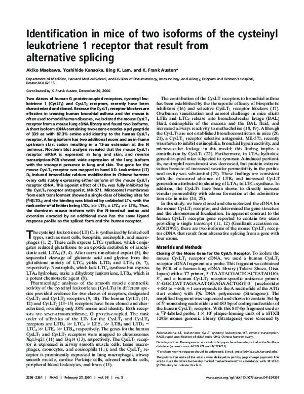 (PDF) Identification in mice of two isoforms of the cysteinyl ...