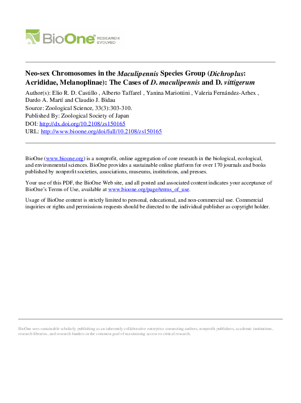 (PDF) Neo-sex Chromosomes in the Maculipennis Species Group (Dichroplus: Acrididae, Melanoplinae ...