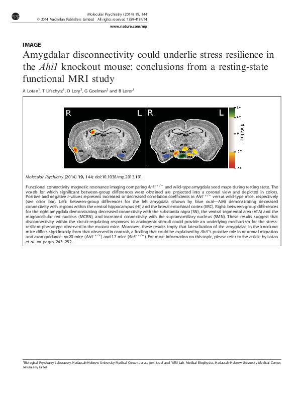 (PDF) Amygdalar disconnectivity could underlie stress resilience in the ...