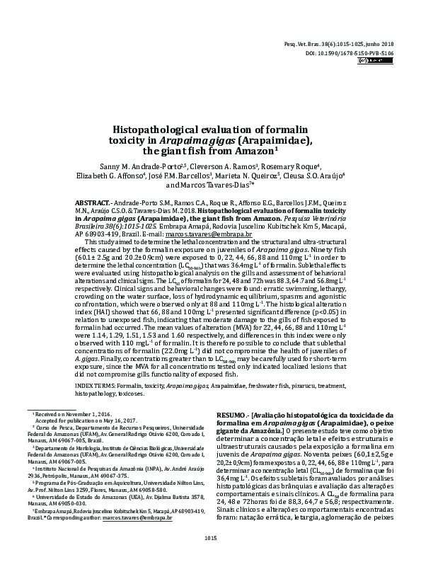 (PDF) Histopathological evaluation of formalin toxicity in Arapaima ...