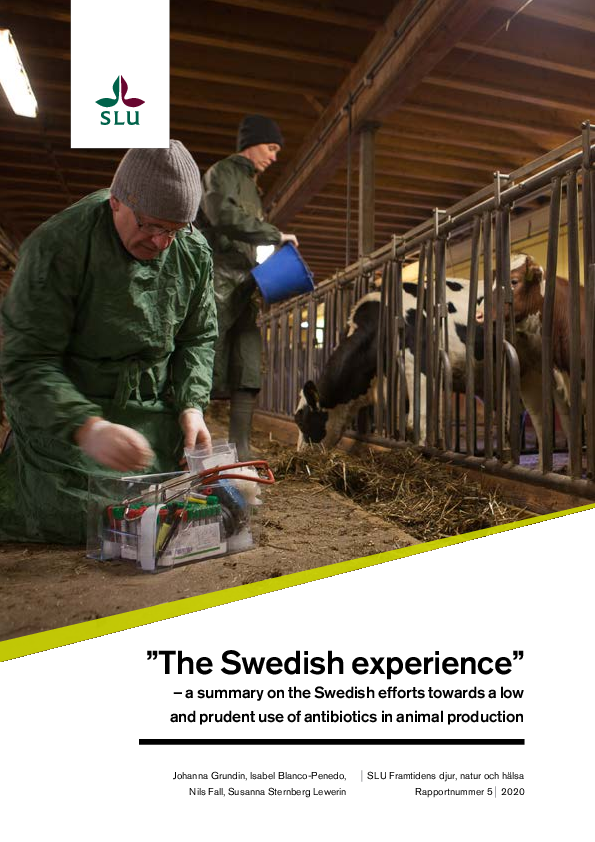 (PDF) The Swedish experience" – a summary on the Swedish efforts ...