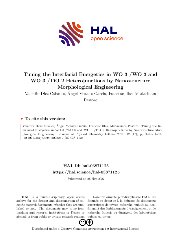 (PDF) Tuning the Interfacial Energetics in WO 3 /WO 3 and WO 3 /TiO 2 ...