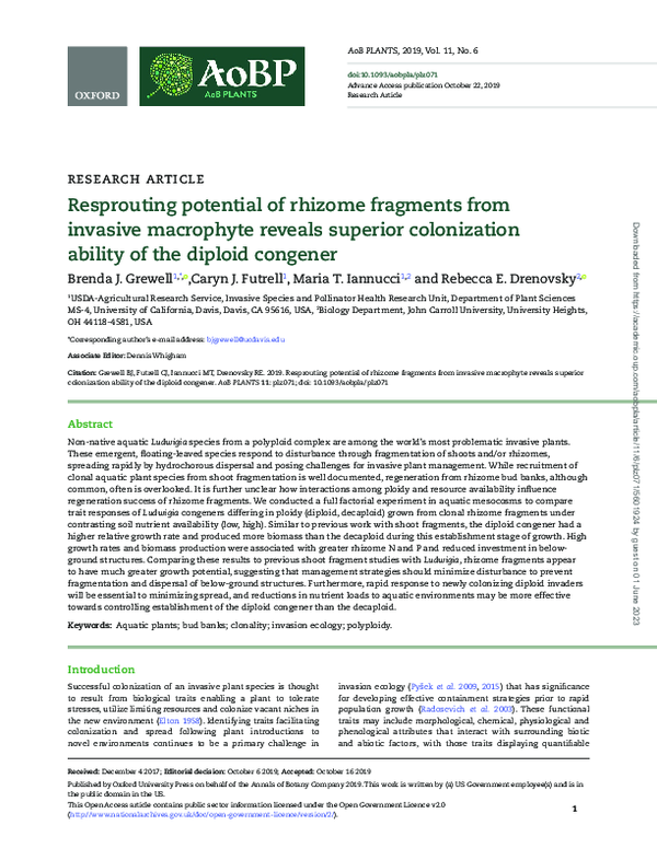 (PDF) Resprouting potential of rhizome fragments from invasive ...
