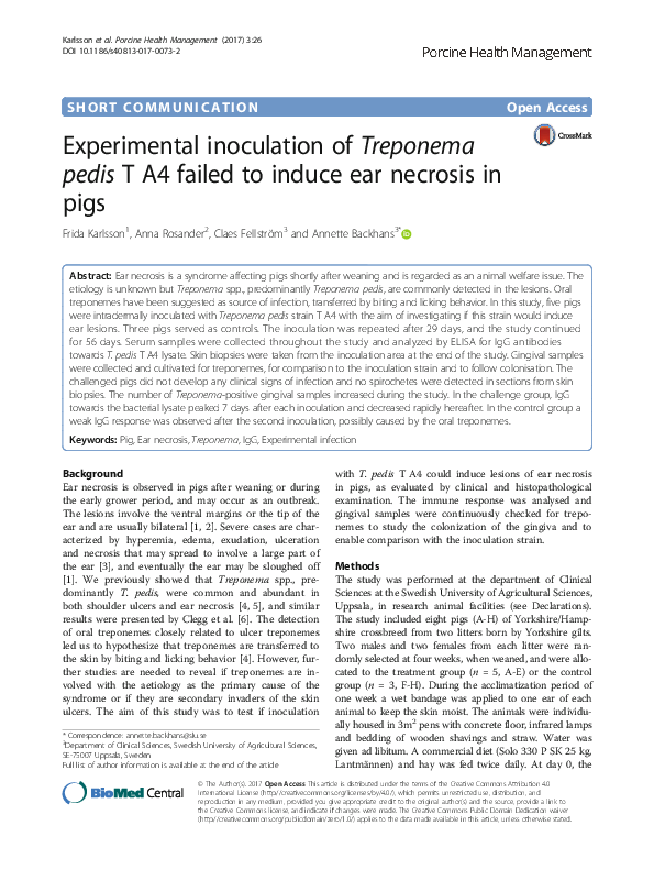 (PDF) Experimental inoculation of Treponema pedis T A4 failed to induce ...